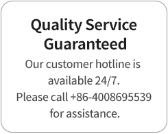 CSAIR International Student Section